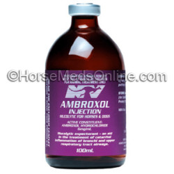 Benflux Ambroxol caracteristicas medicamentos - Como fazer
