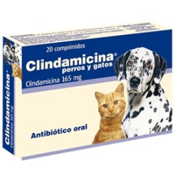 Clincina Clindamicina caracteristicas medicamento - Como fazer