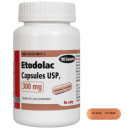 Dualgan Etodolac caracteristicas medicamento - Como fazer