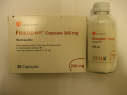 Floxapen Flucloxacilina caracteristicas medicamento - Como fazer